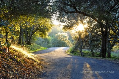 A Guide to Petaluma Parks | Visit Petaluma