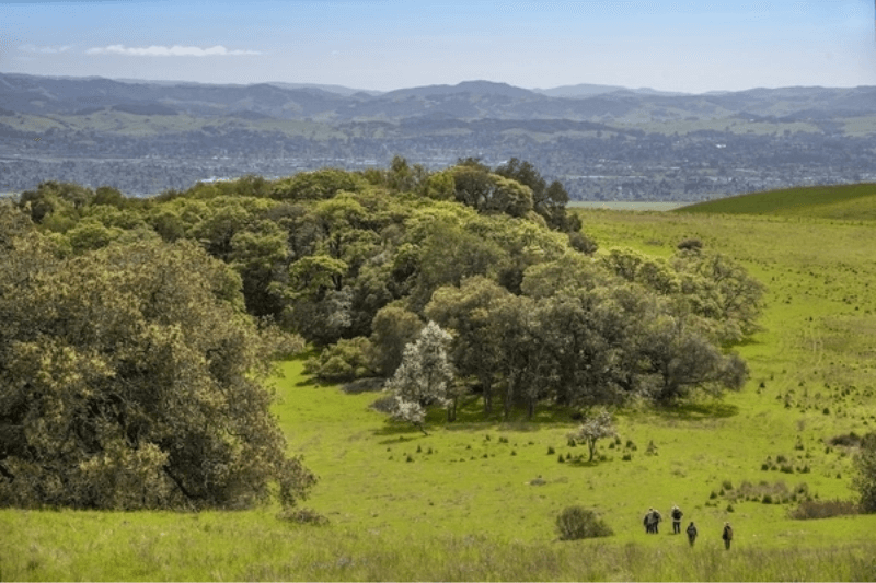 Springtime Exploration of Petaluma’s Lafferty Ranch | Visit Petaluma
