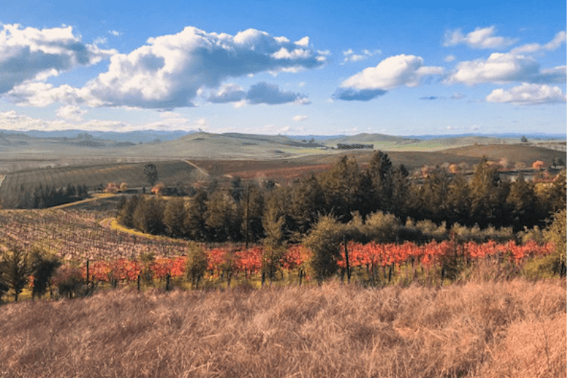 Hike Historic Tolay Lake Regional Park | Visit Petaluma